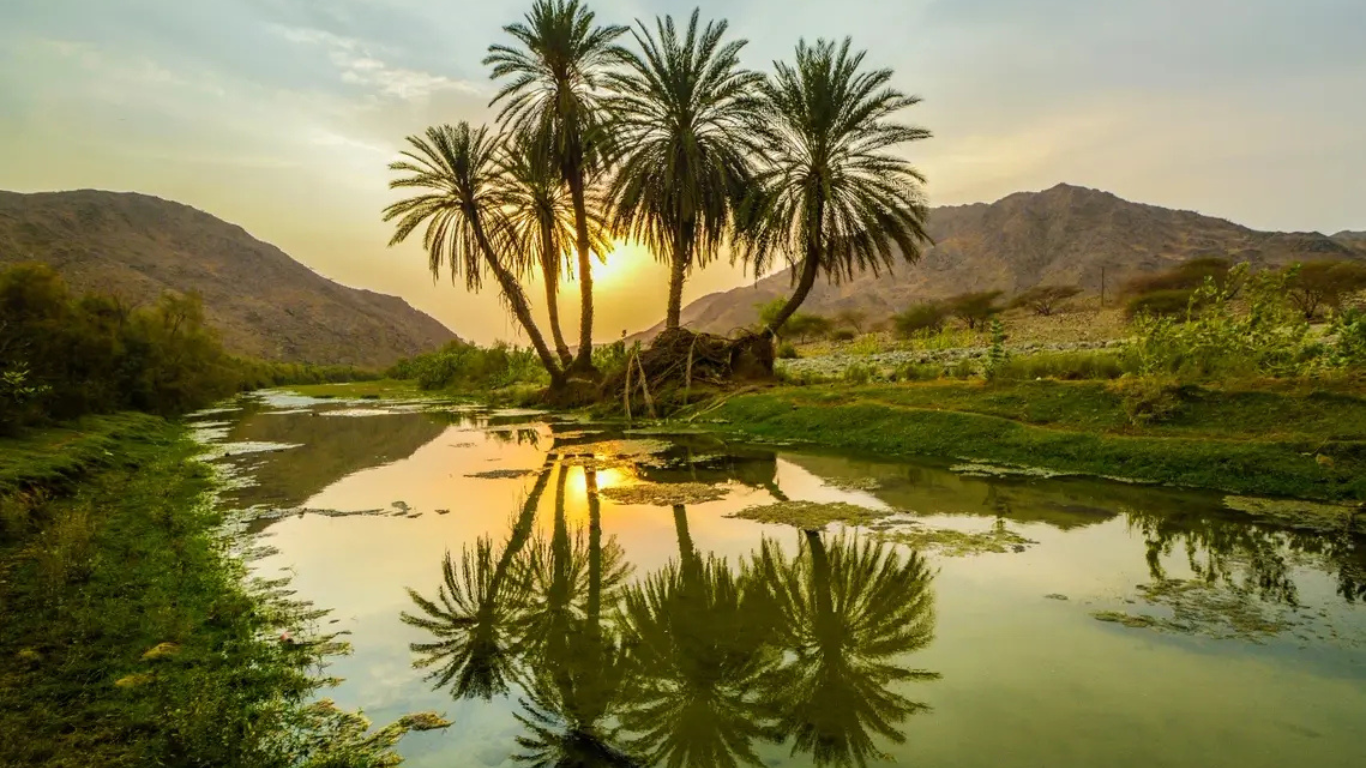 Finding Peace in Riyadh’s Natural Gems - Rohb - Luxury Short Stay ...